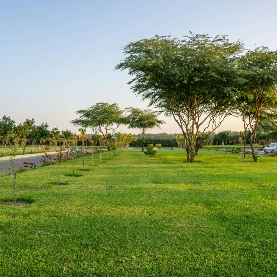Navigating Nature: The ‘alphabet soup’ of biodiversity initiatives ...